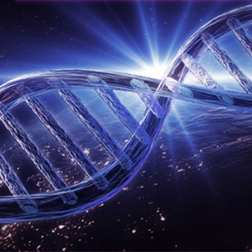 ประกันครอบจักรวาลโรคร้าย