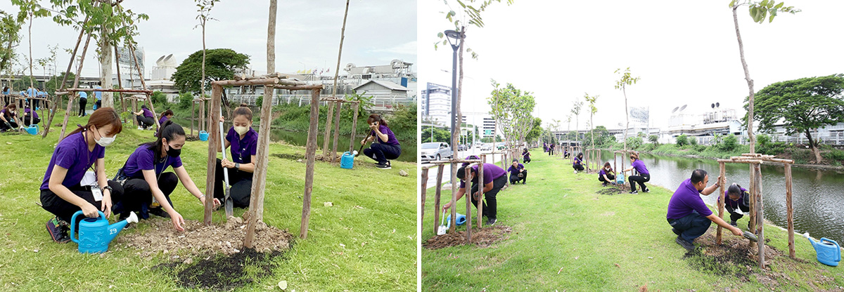 SCB joins with Bangkok to boost city's greenery with tree-planting ...