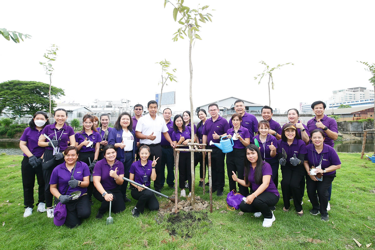 SCB joins with Bangkok to boost city's greenery with tree-planting ...