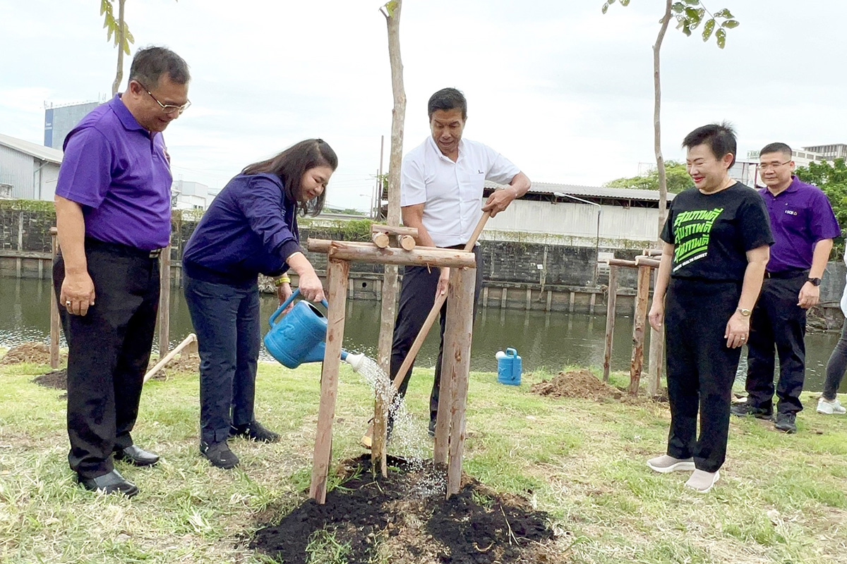 SCB joins with Bangkok to boost city's greenery with tree-planting ...