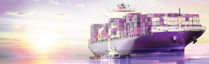 SCB Shipping Guarantee