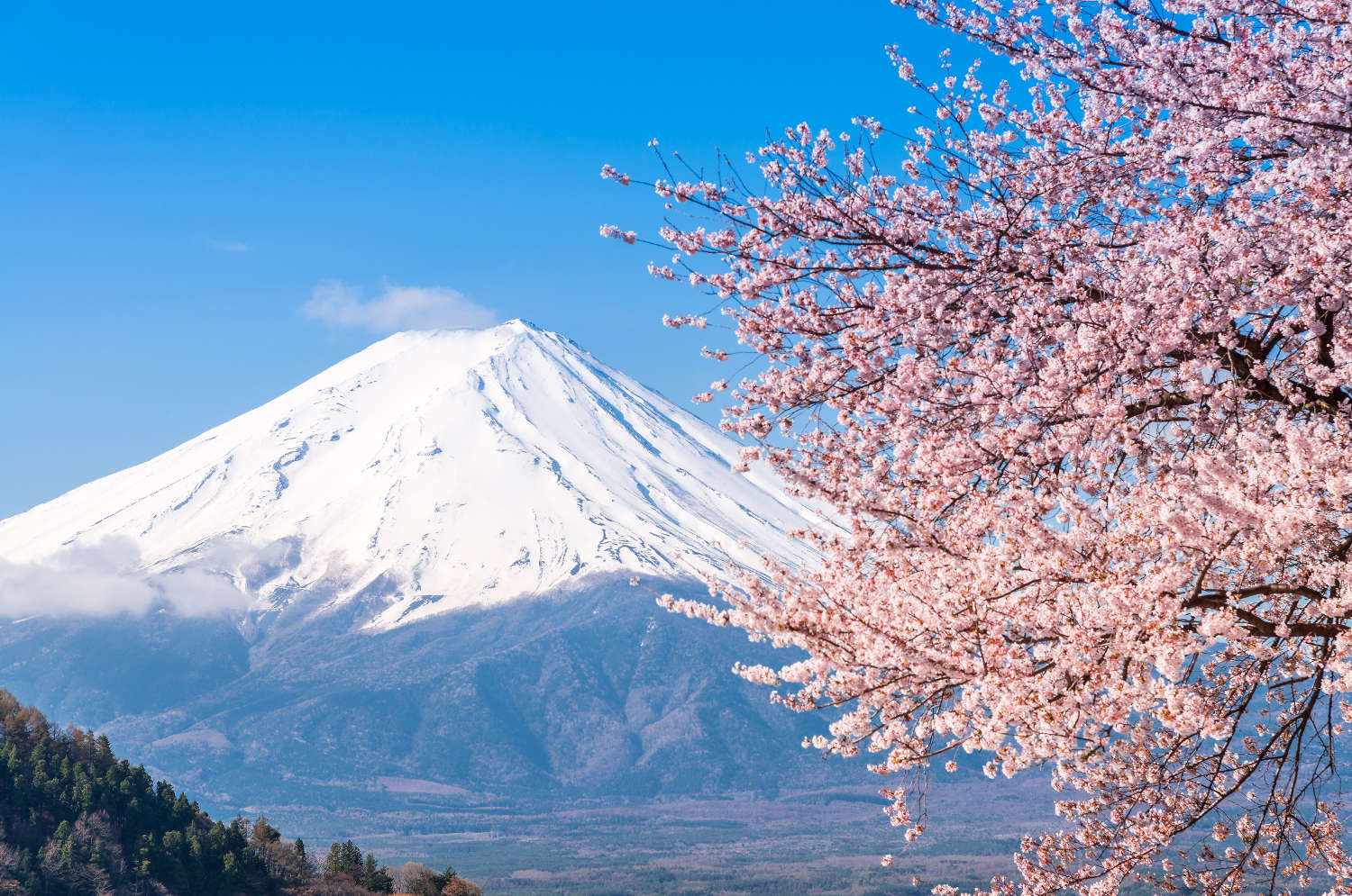 See the full view of Fujisan In the home town of Fuji @ Shizuoka