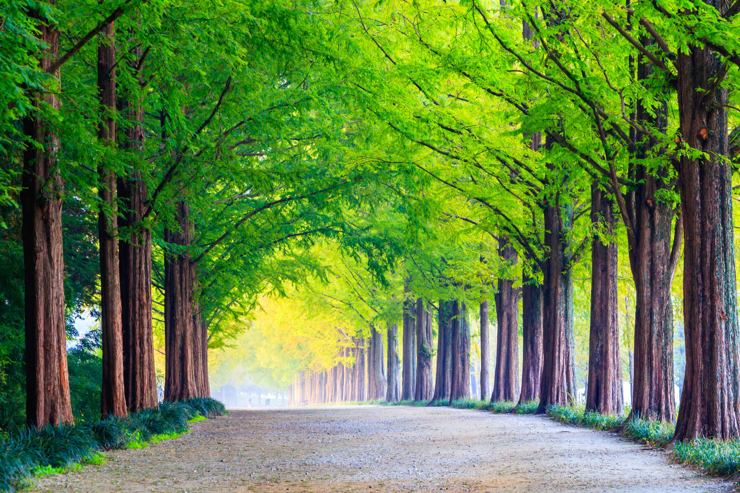 5 green destinations @ South Korea