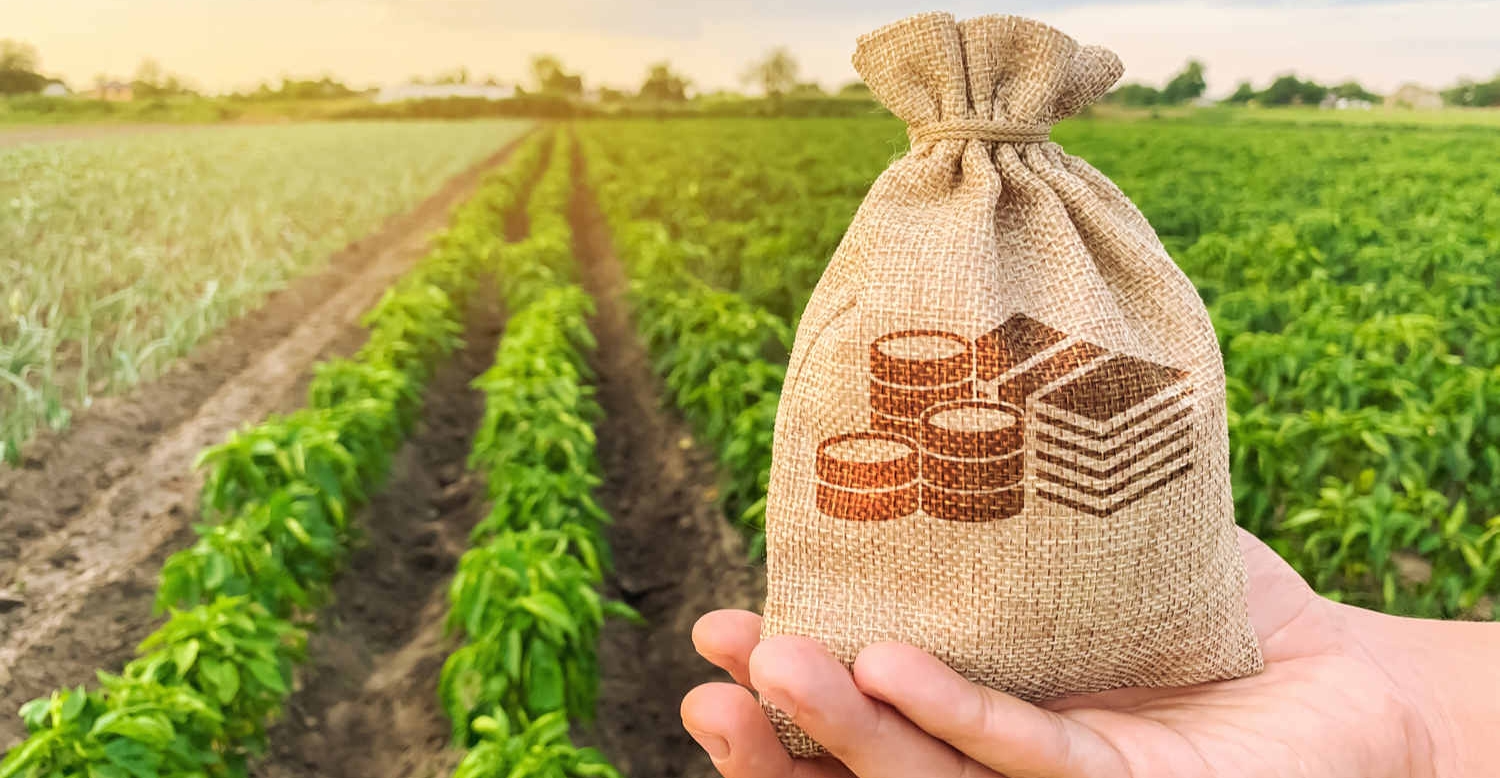 How to plan for land and building tax?