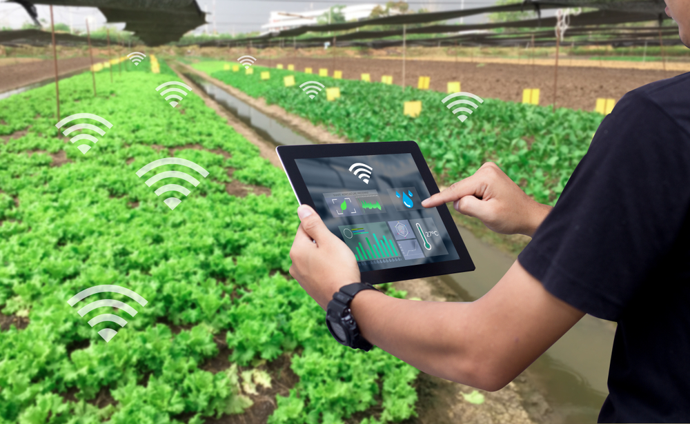 รู้จัก Ricult สตาร์ทอัพ AgriTech แก้ Pain Point เกษตรกร ยกระดับธุรกิจ ...